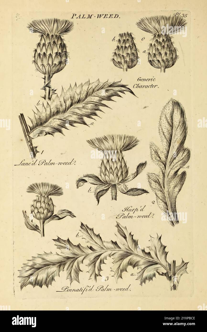 The vegetable system London Printed at the expence of the author and ...