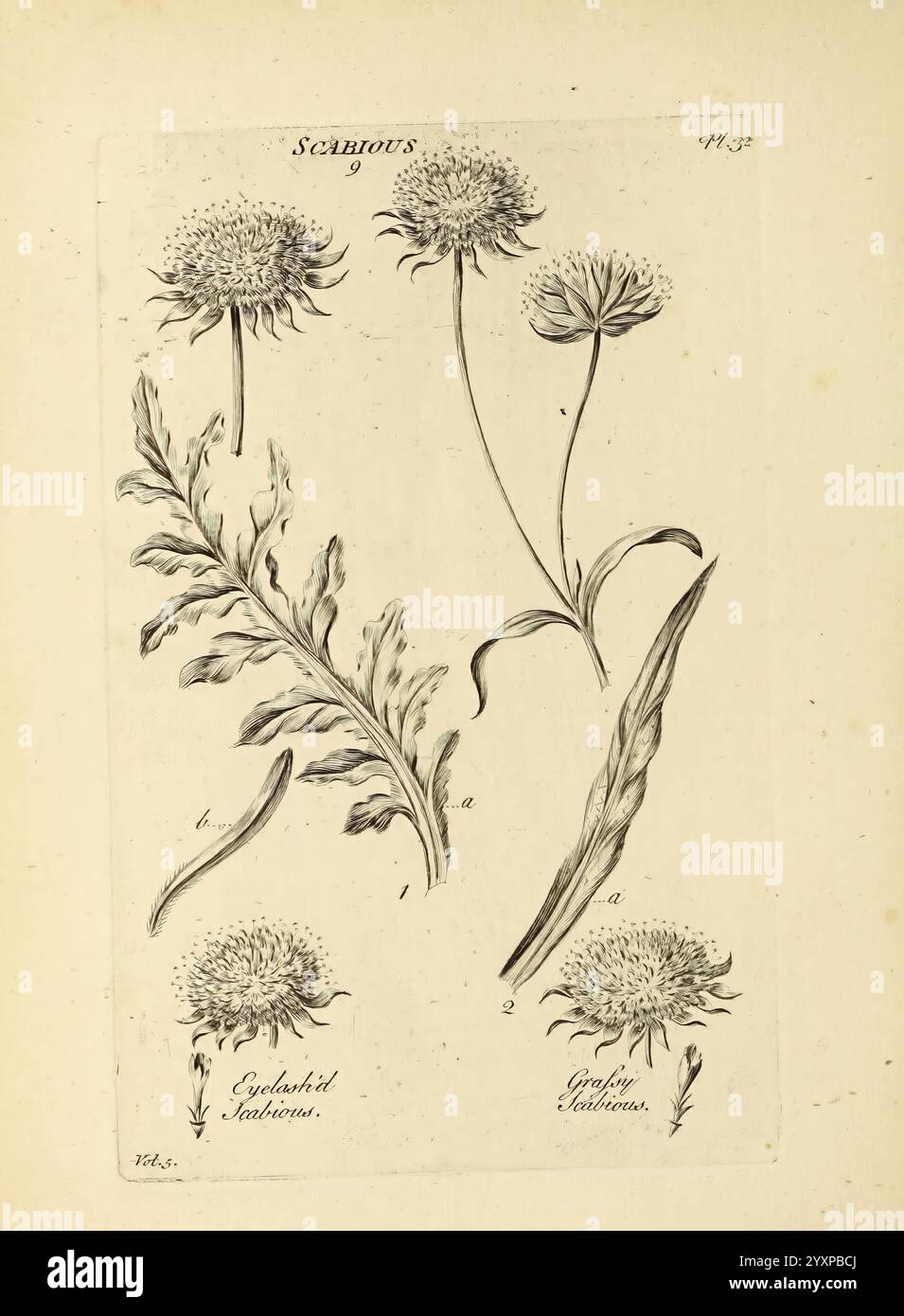 Multiple specimens labeled hi-res stock photography and images - Alamy