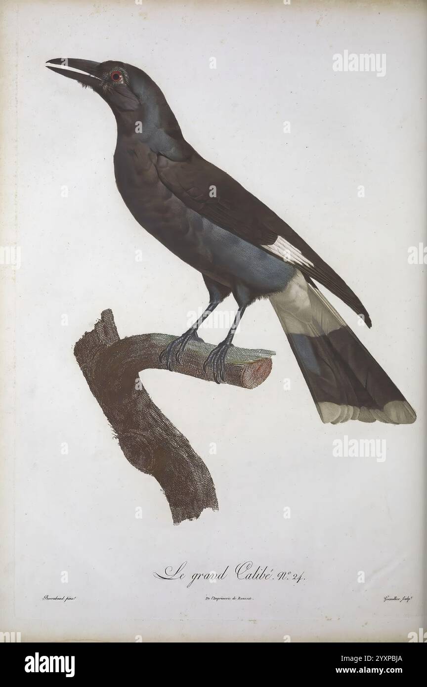 Artists detailed rendering highlights hi-res stock photography and ...