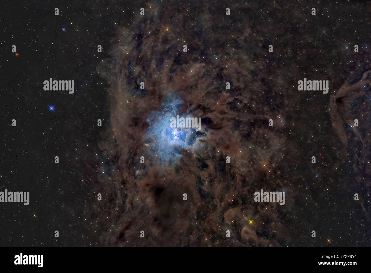 The Iris Nebula, NGC 7023, a reflection nebula in Cepheus Stock Photo ...