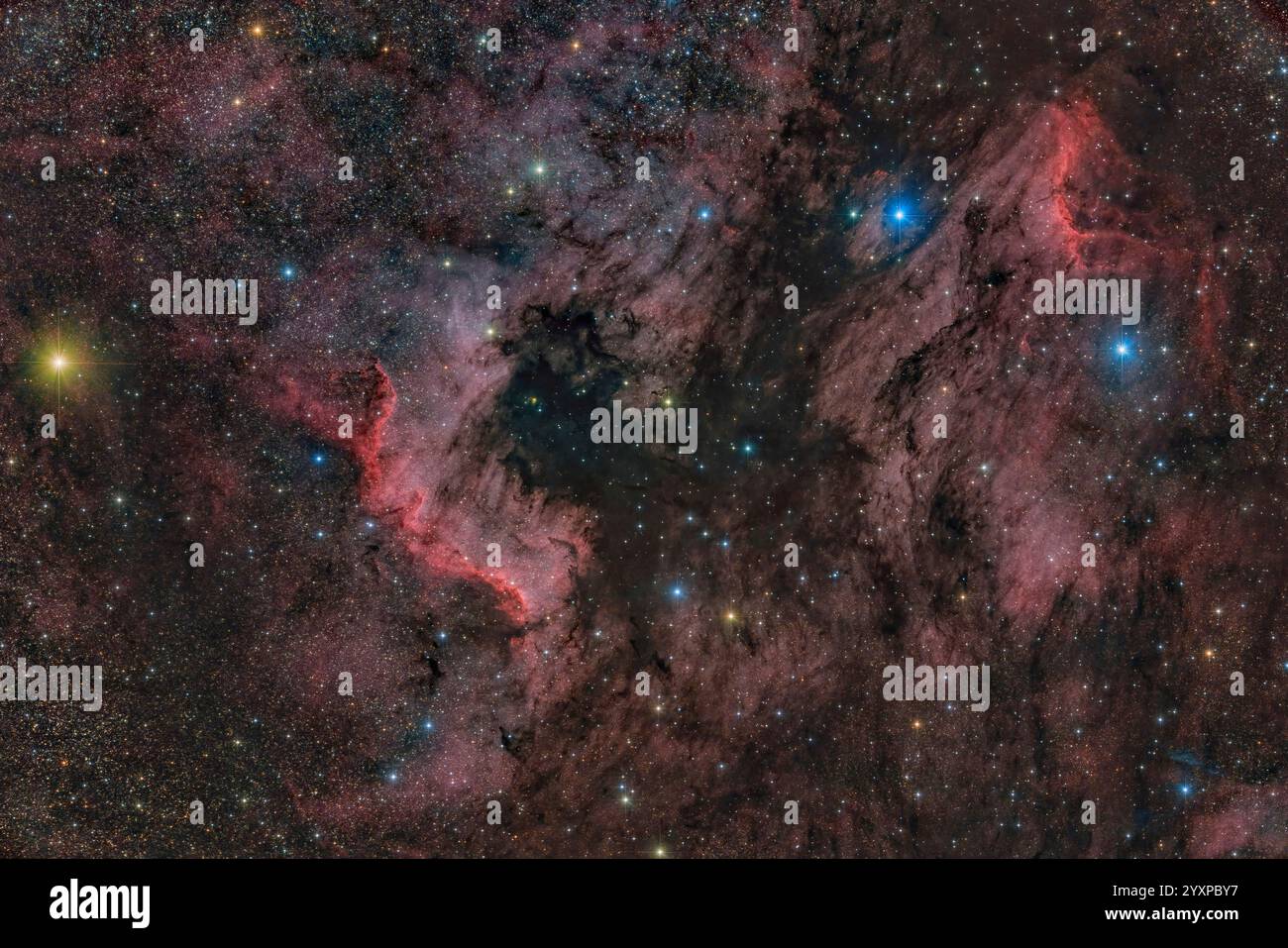 NGC 7000, the North America Nebula, and IC 5070, the Pelican Nebula Stock Photo - Alamy