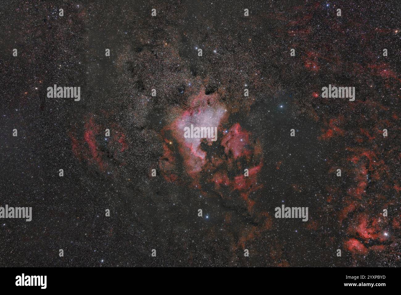 Widefield view of NGC 7000, the North America Nebula, with IC 5070, the ...