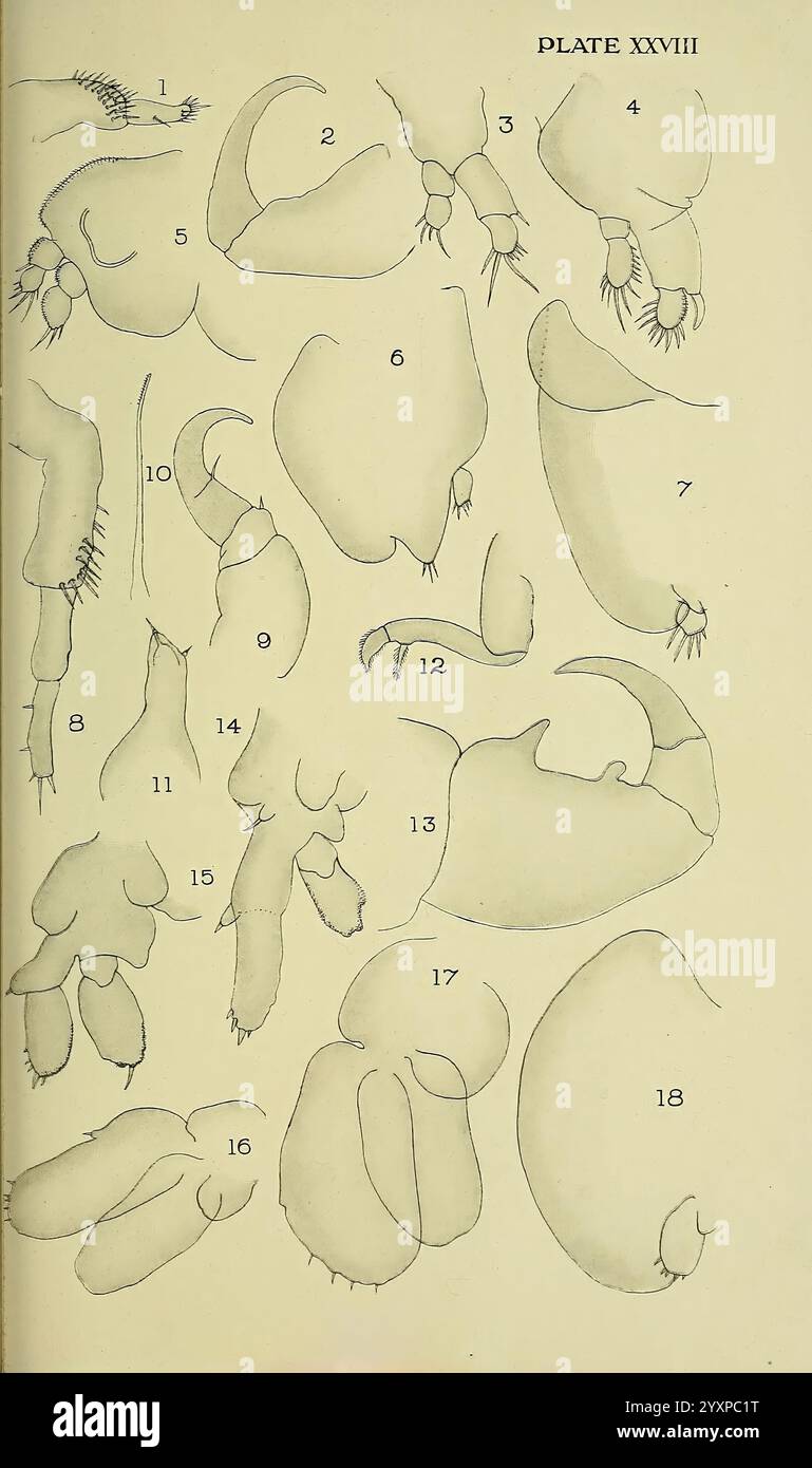 Shading indicate hi-res stock photography and images - Alamy