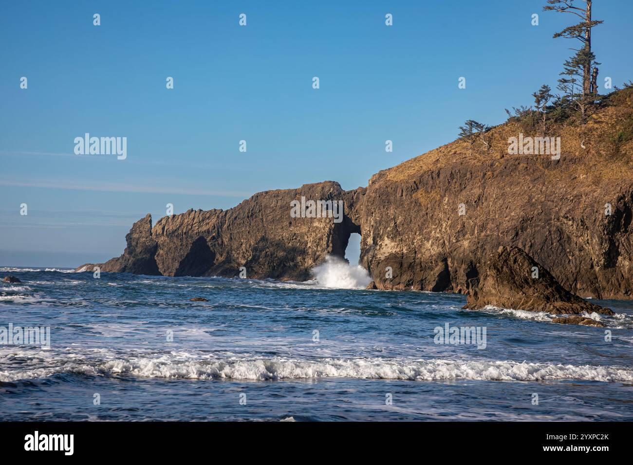 WA25956-00...WASHINGTON - A wave spilling through the hole in the rock ...