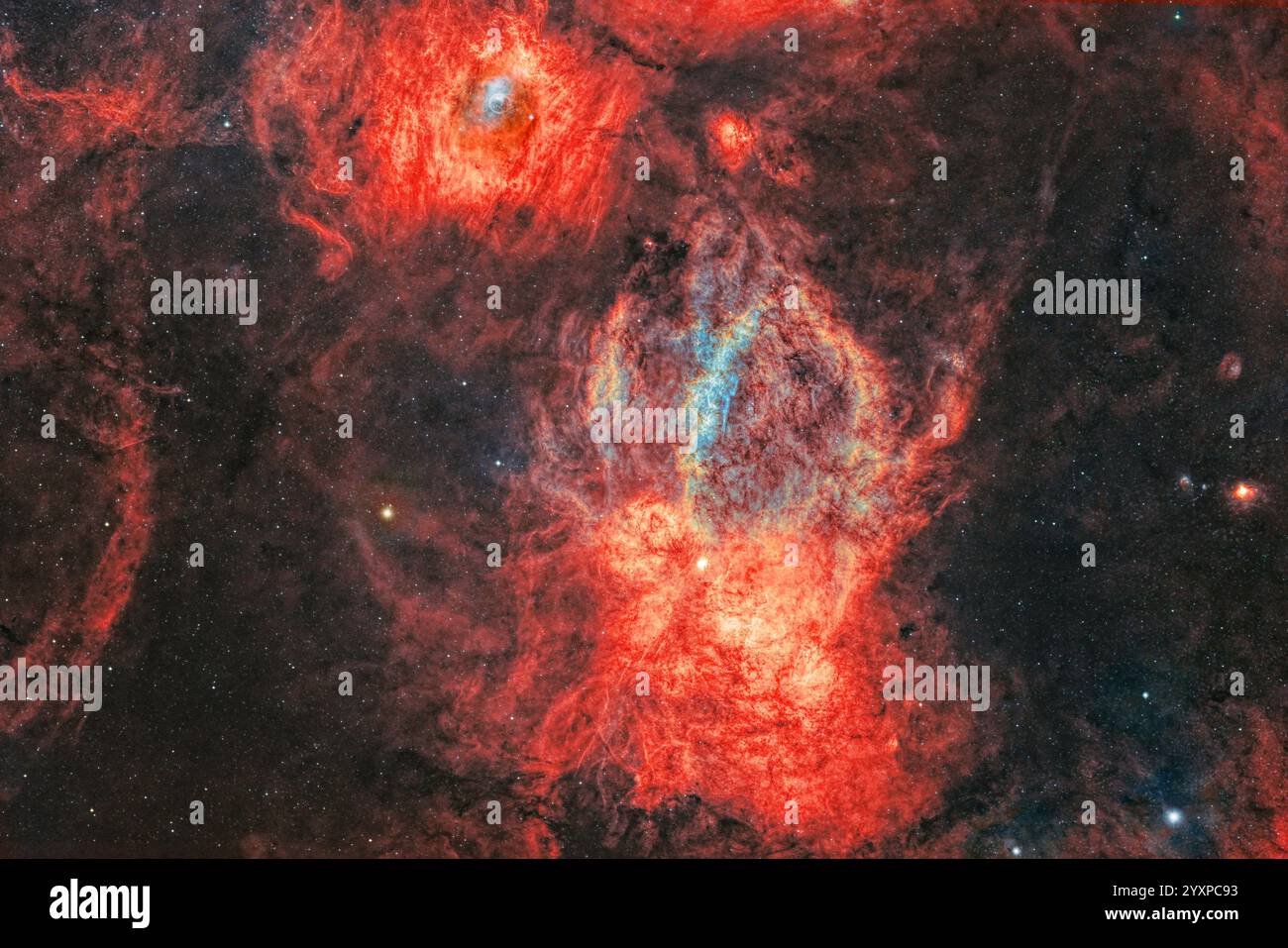 Lobster claw nebula hi-res stock photography and images - Alamy