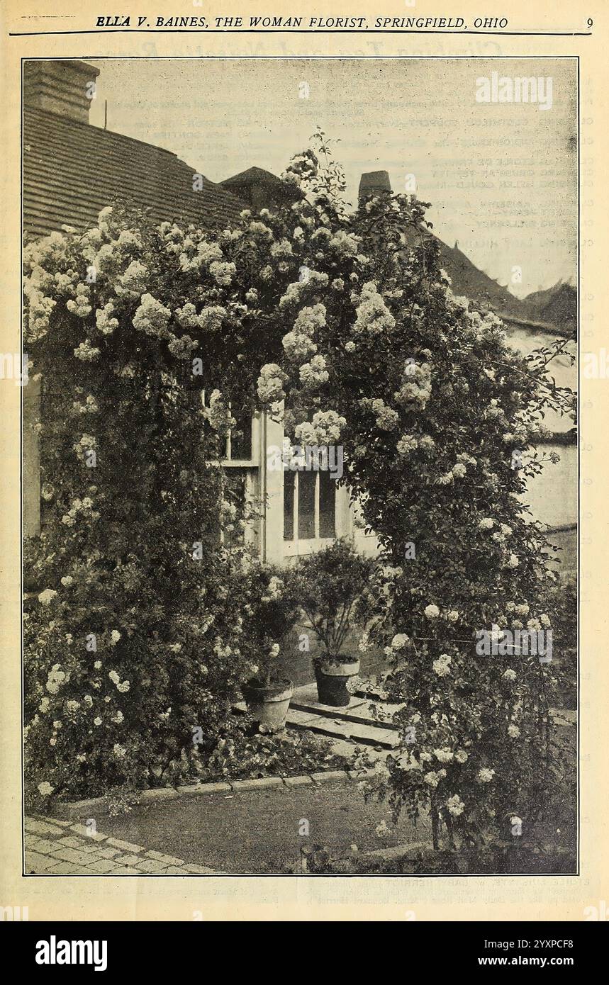 Enchanting garden scene features hi-res stock photography and images ...