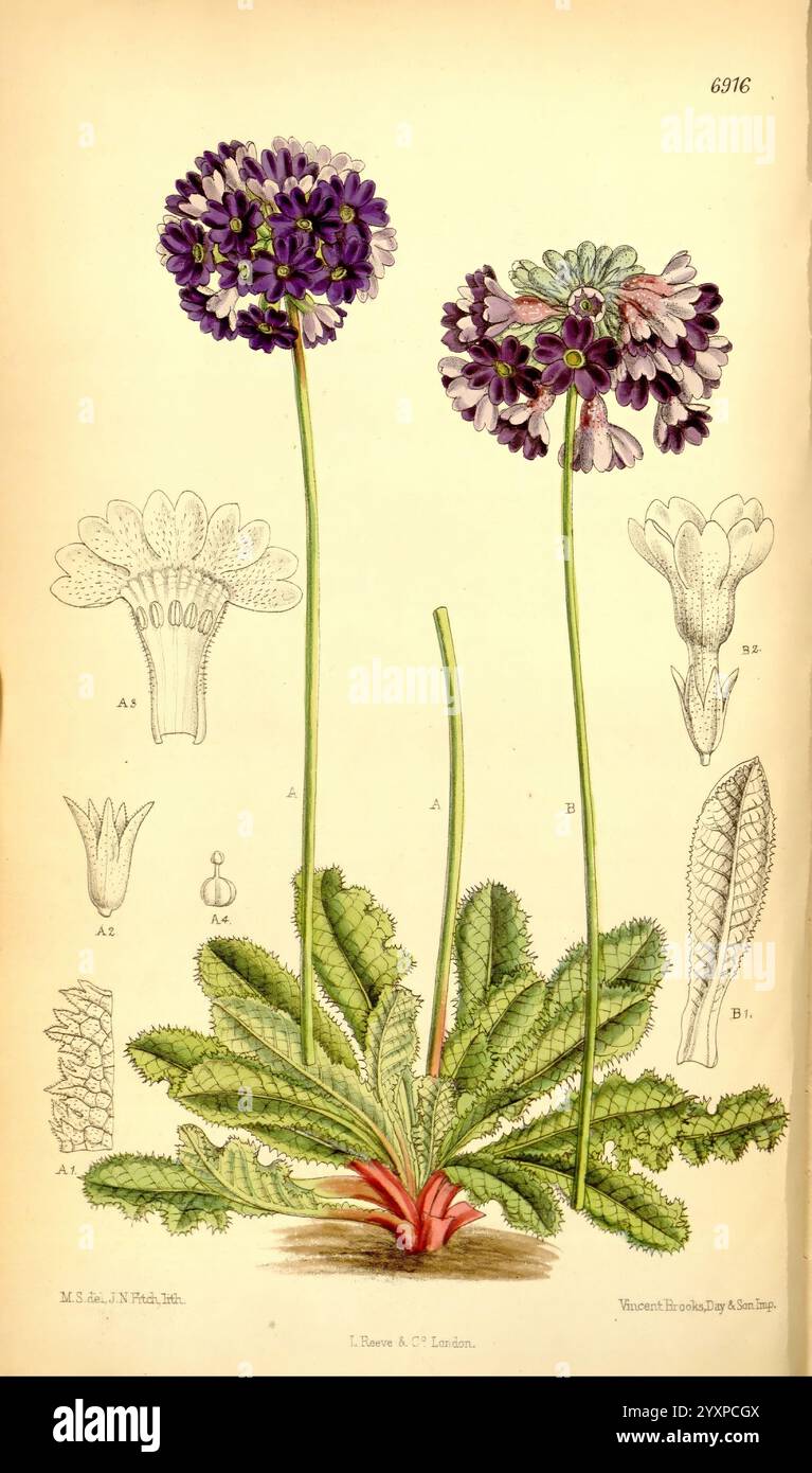 Meticulous representation underscores hi-res stock photography and ...