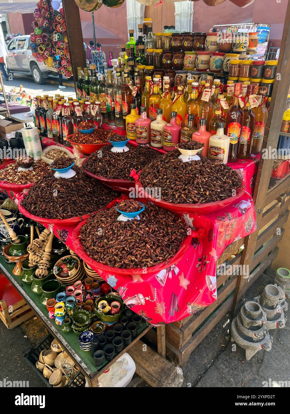 Chapulines mexico city hi-res stock photography and images - Alamy