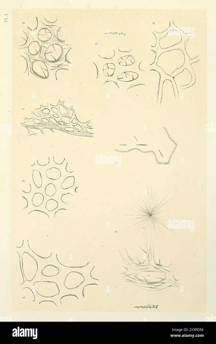Drawing exhibits different shapes hi-res stock photography and images ...