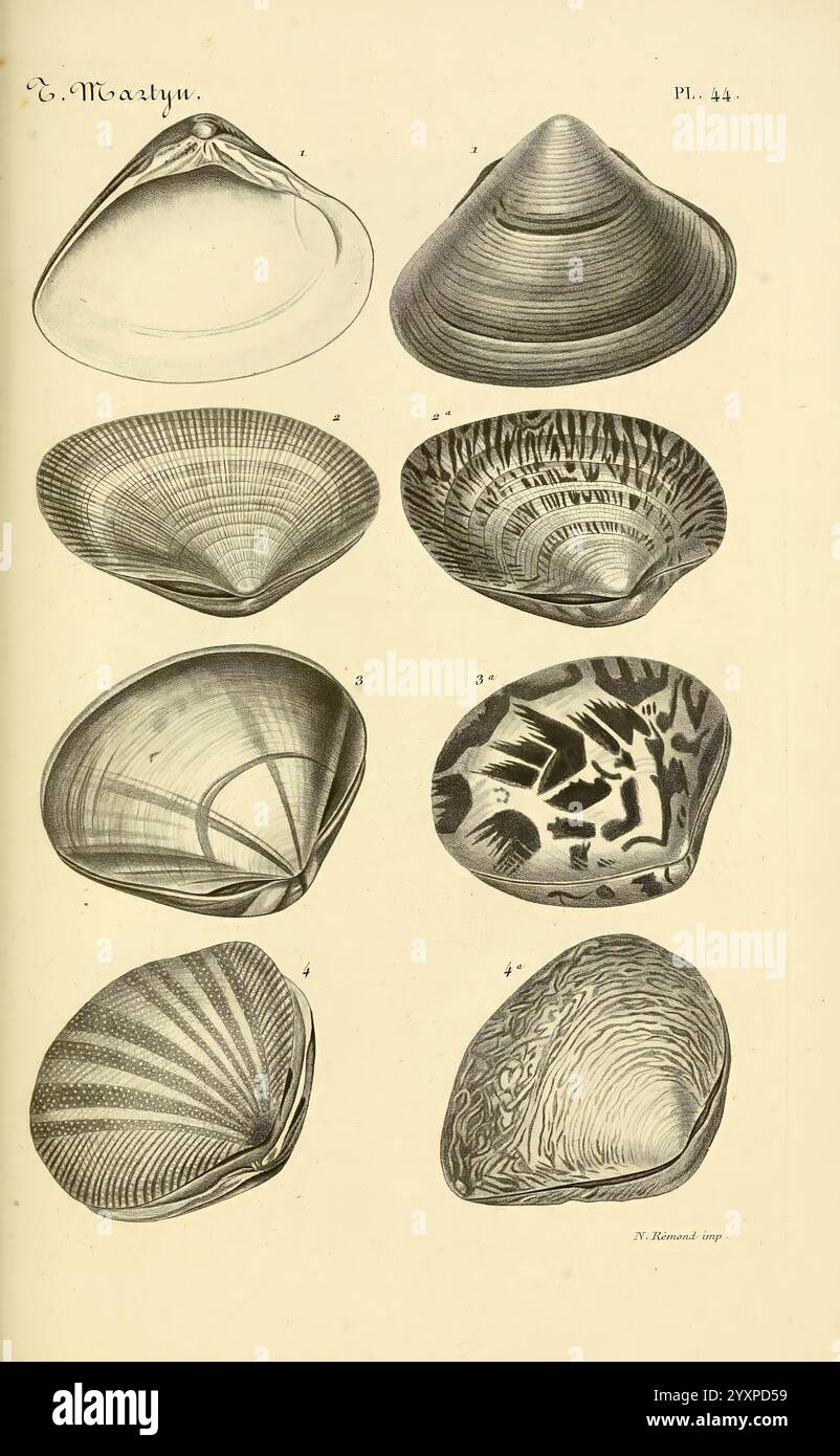 Featuring eight different forms hi-res stock photography and images - Alamy