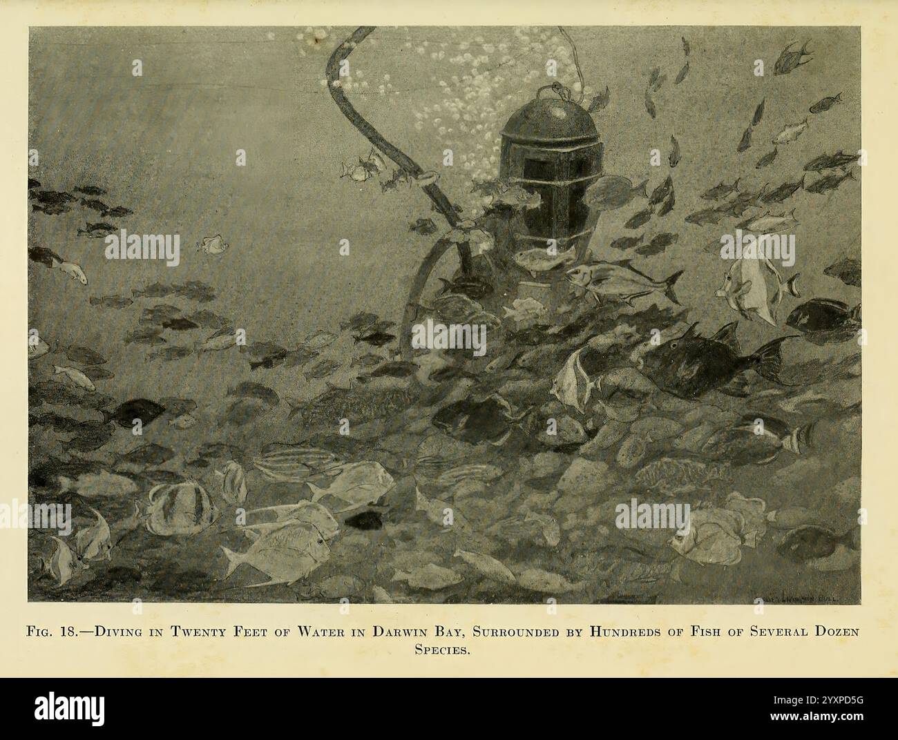 The Arcturus adventure, New York, 1926, Arcturus ship, Cocos Island ...