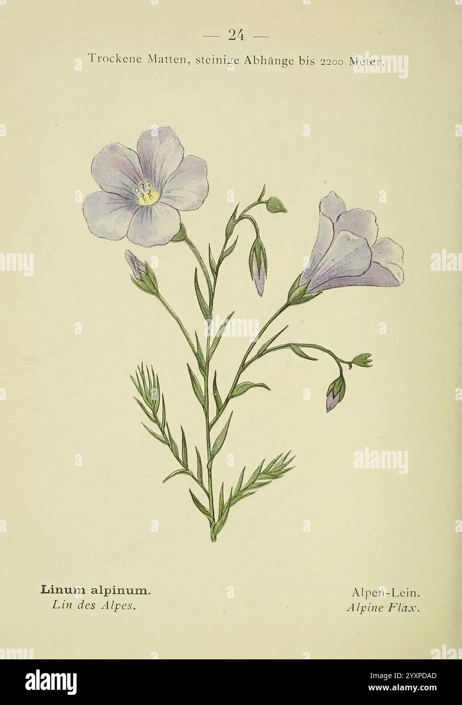 2200 meters elevation hi-res stock photography and images - Alamy