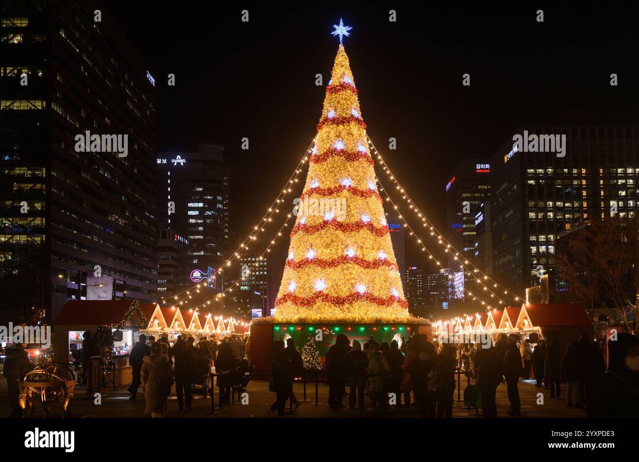Seoul, South Korea. 17th Dec, 2024. A large Christmas tree is installed ...