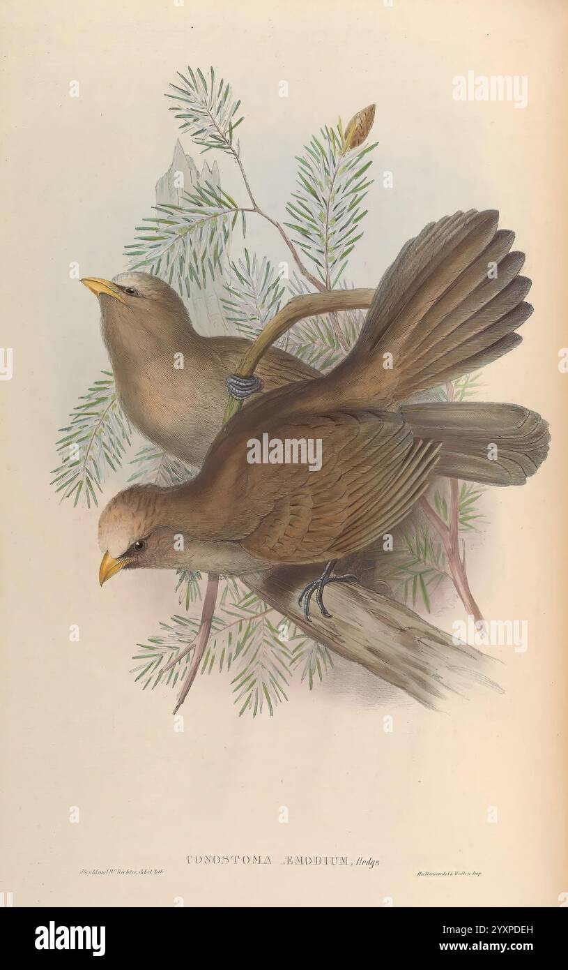 Earthy palette adorned hi-res stock photography and images - Alamy