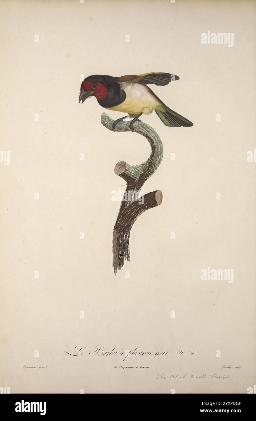 Body language conveys alertness hi-res stock photography and images - Alamy