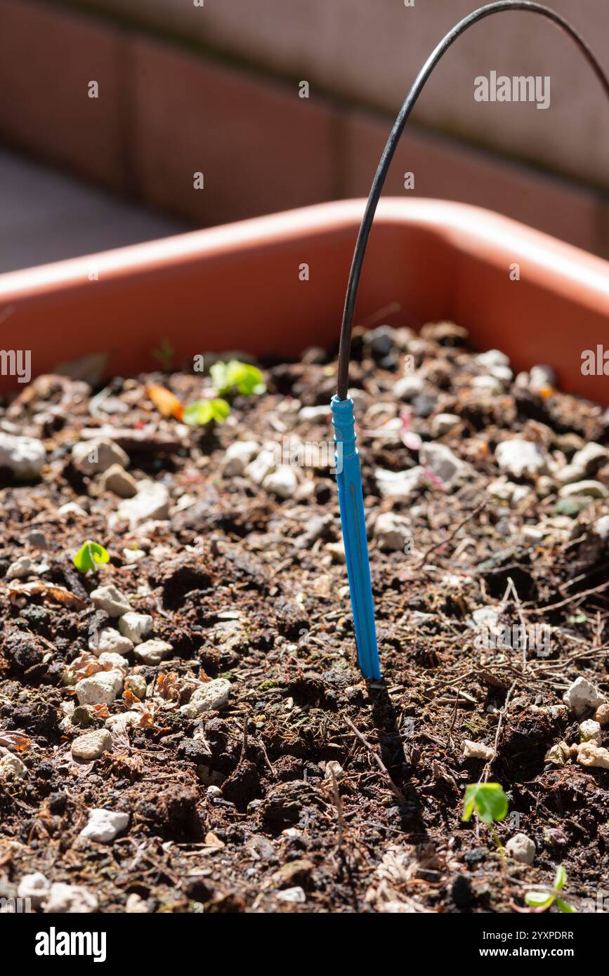 Close up drip irrigation hi-res stock photography and images - Alamy