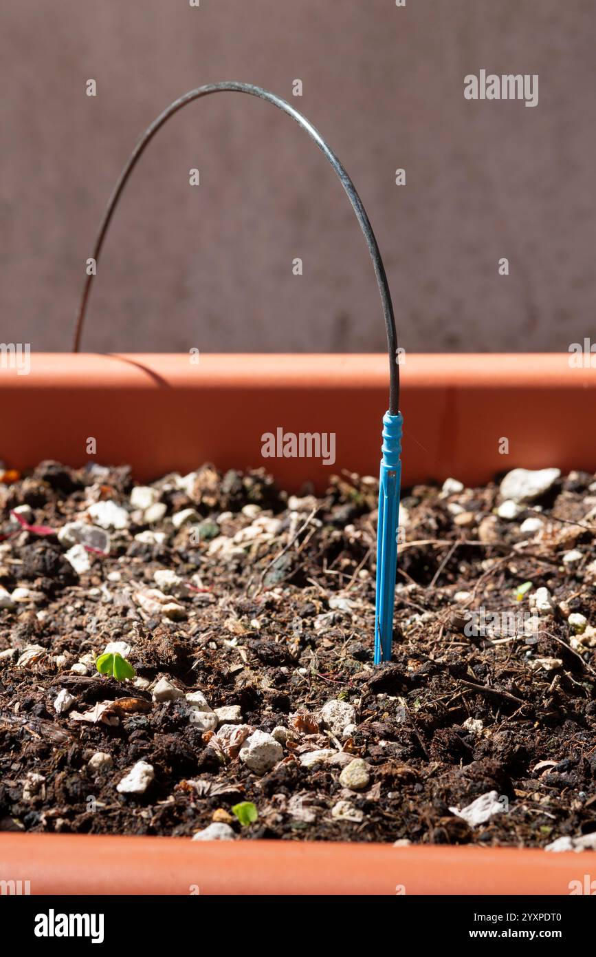 Drip Irrigation System Stock Photo - Alamy