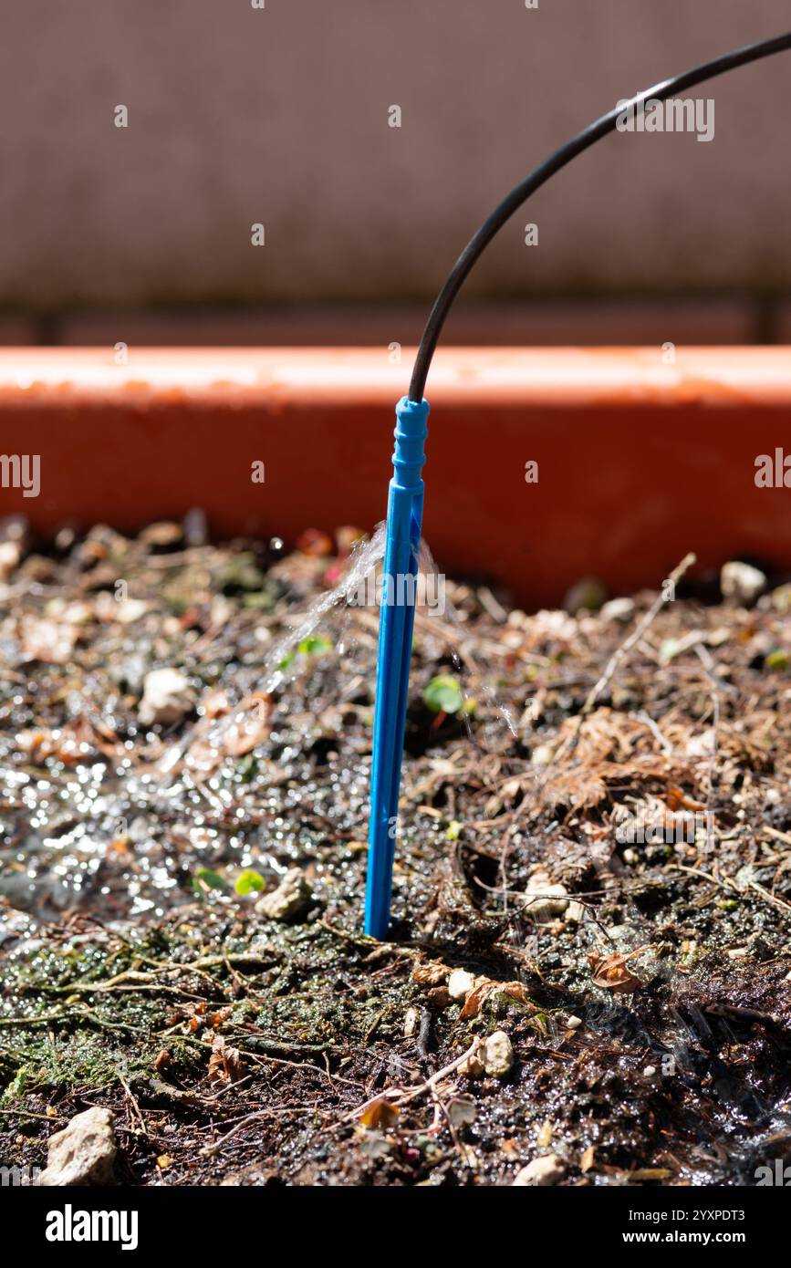 Drip Irrigation System Stock Photo - Alamy