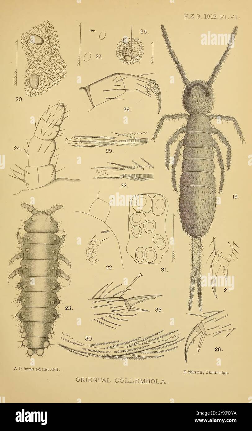 Proceedings of the Zoological Society of London, London, Academic Press ...