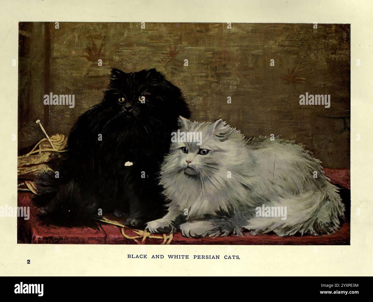 Contrasting white accents hi-res stock photography and images - Alamy