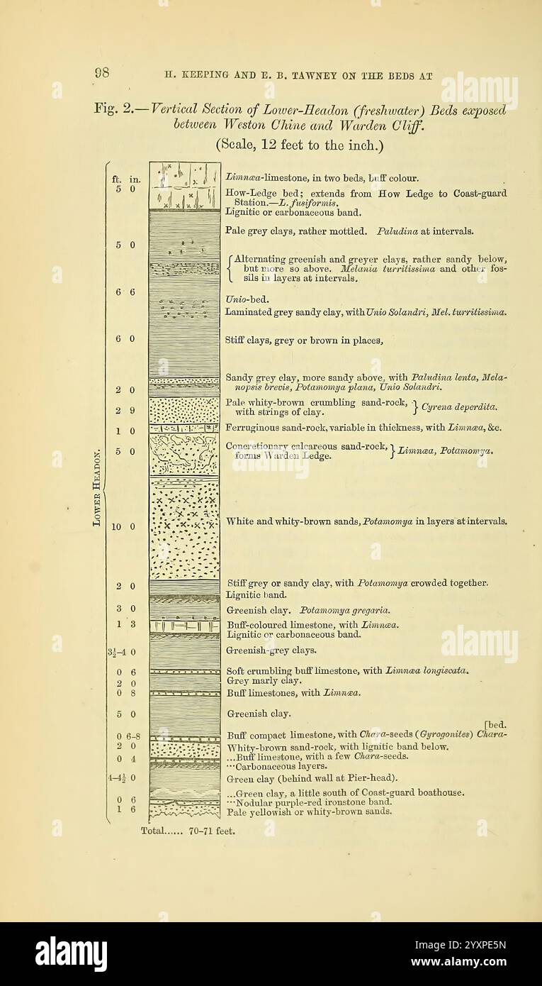 The Quarterly Journal of the Geological Society of London, v. 37 (1881 ...
