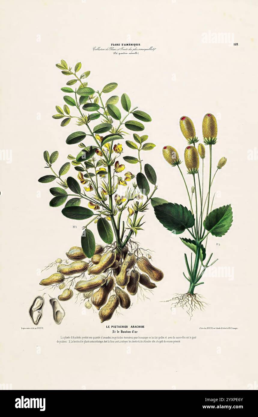 Prominent system hi-res stock photography and images - Alamy