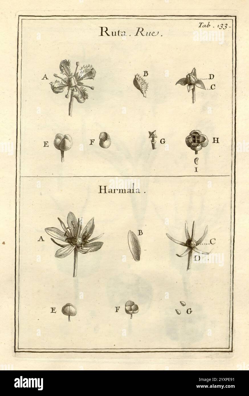 Two sections labeled hi-res stock photography and images - Alamy