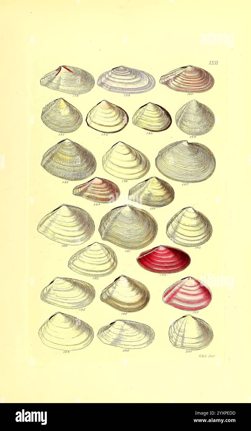 Curvaceous forms hi-res stock photography and images - Alamy