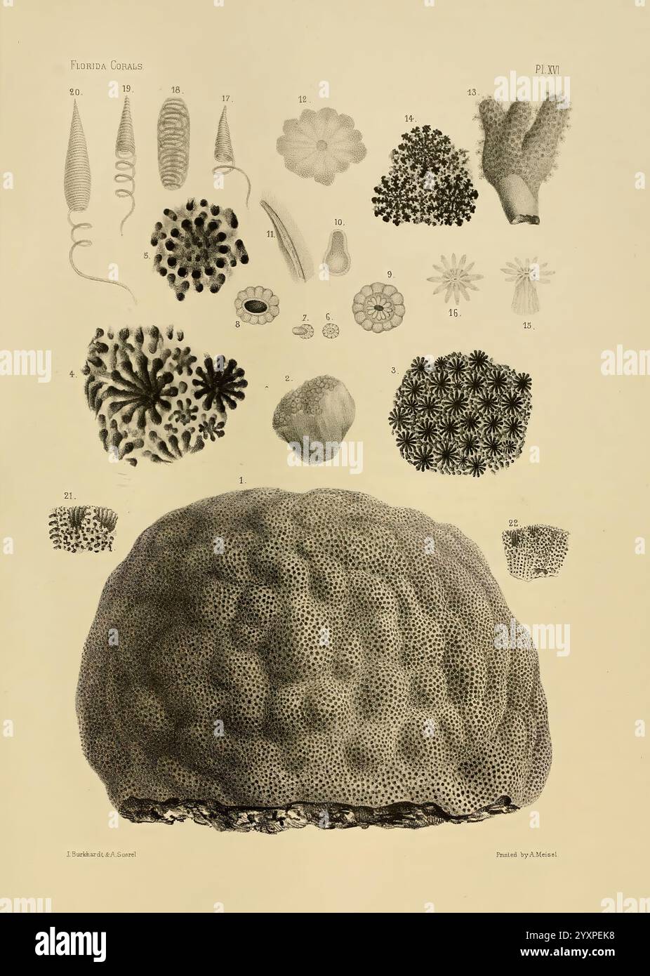 Representing diverse forms hi-res stock photography and images - Alamy