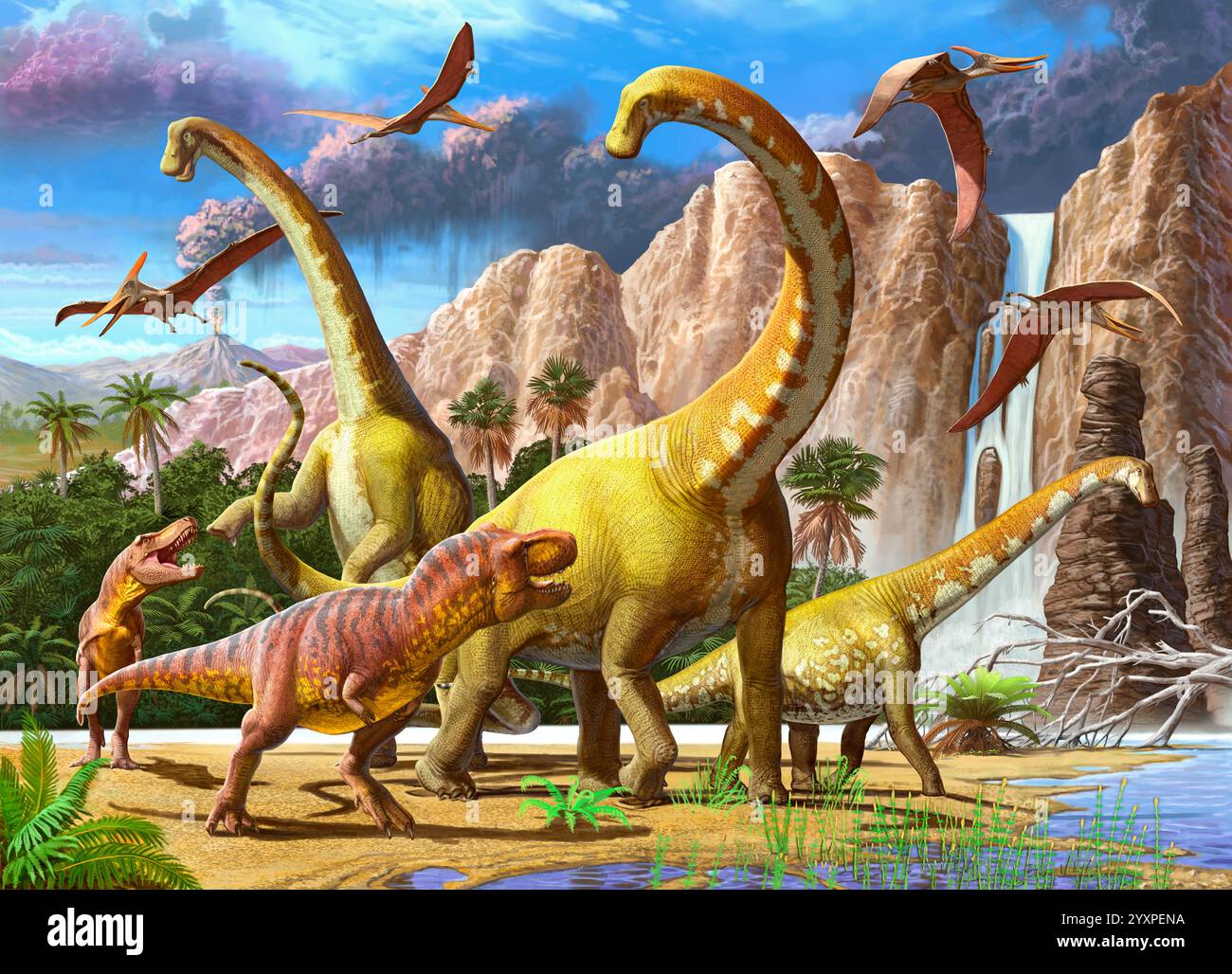 A pair of Tyrannosaurus rex dinosaurs attack a group of Alamosaurus ...