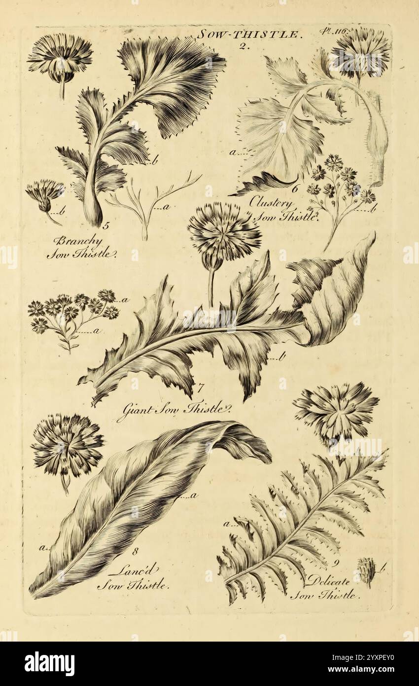 Varied textures across hi-res stock photography and images - Alamy