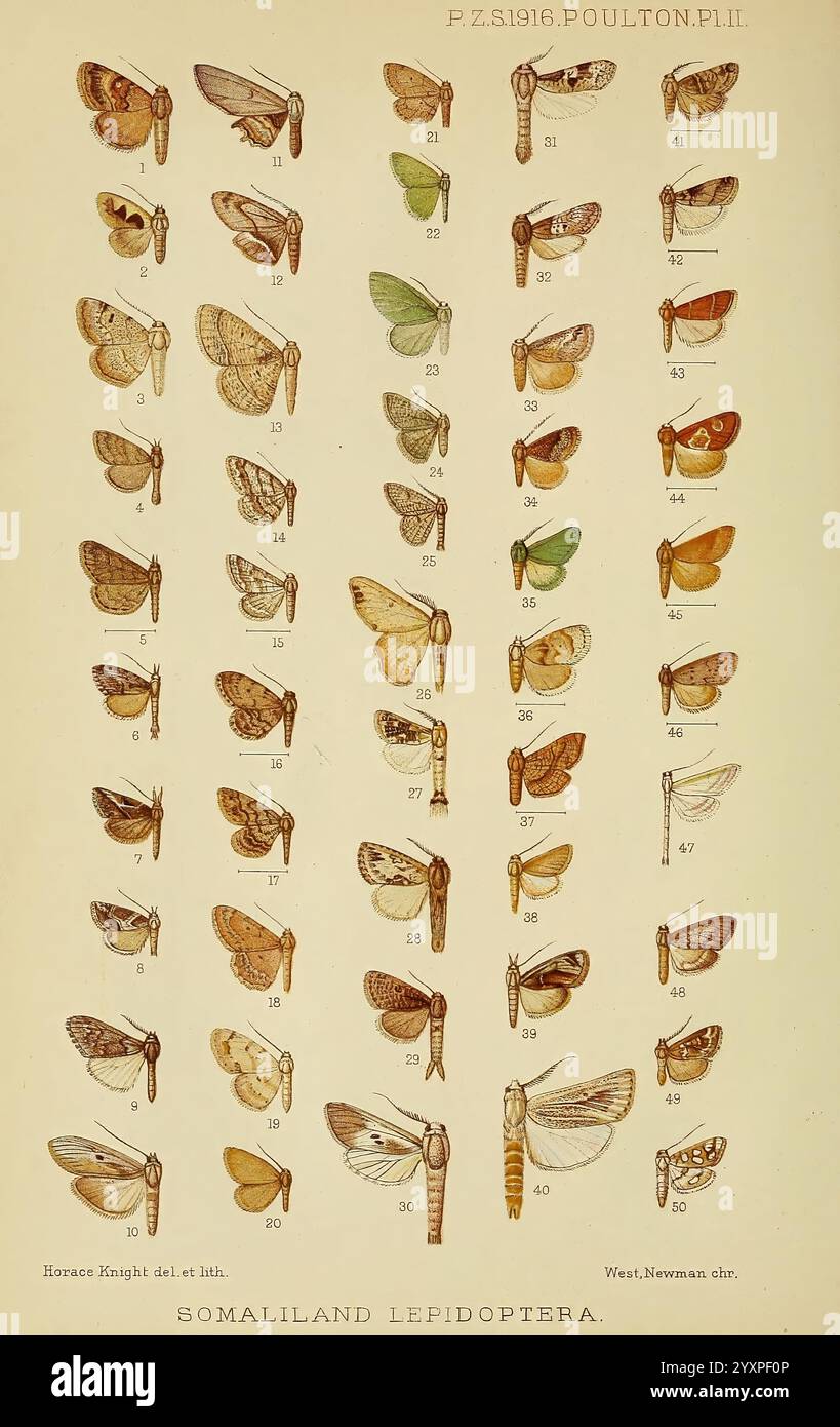 Proceedings of the Zoological Society of London, London, Academic Press ...