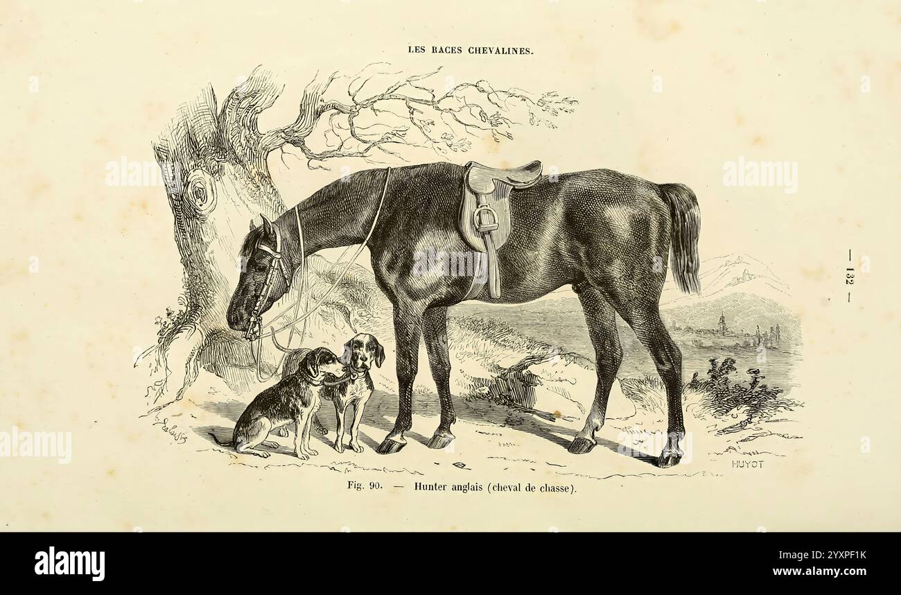 Exhibiting focused expressions hi-res stock photography and images - Alamy