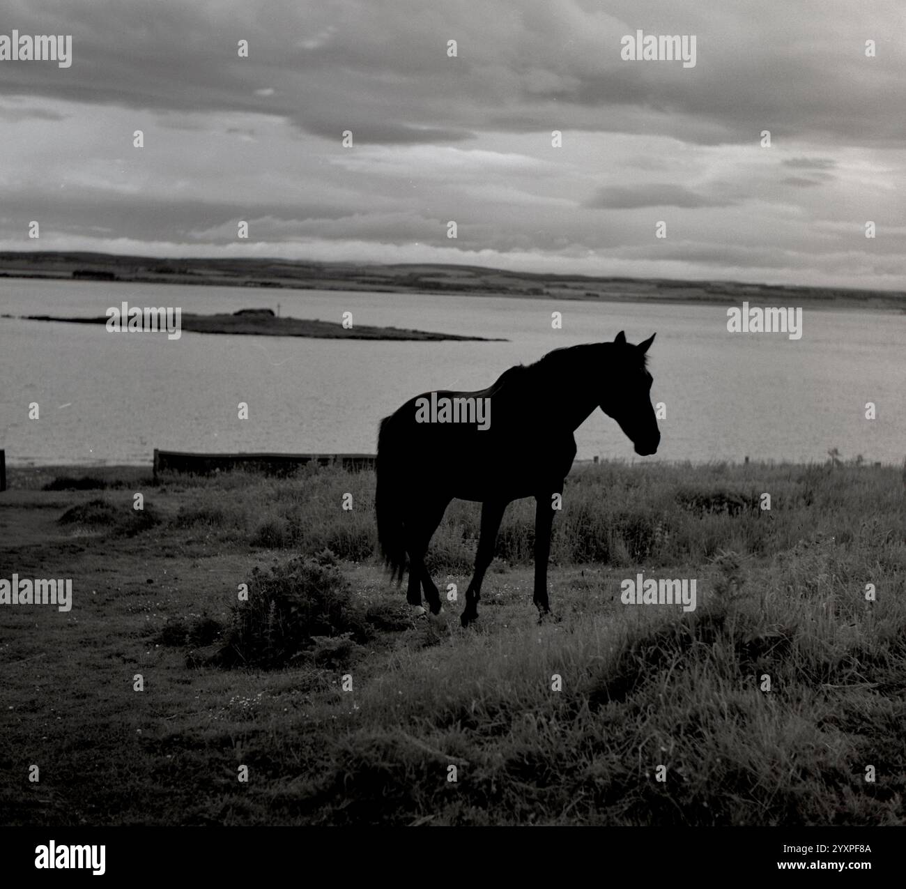 Lindisfarne, Holy Island of Northumberland. Situated off the ...
