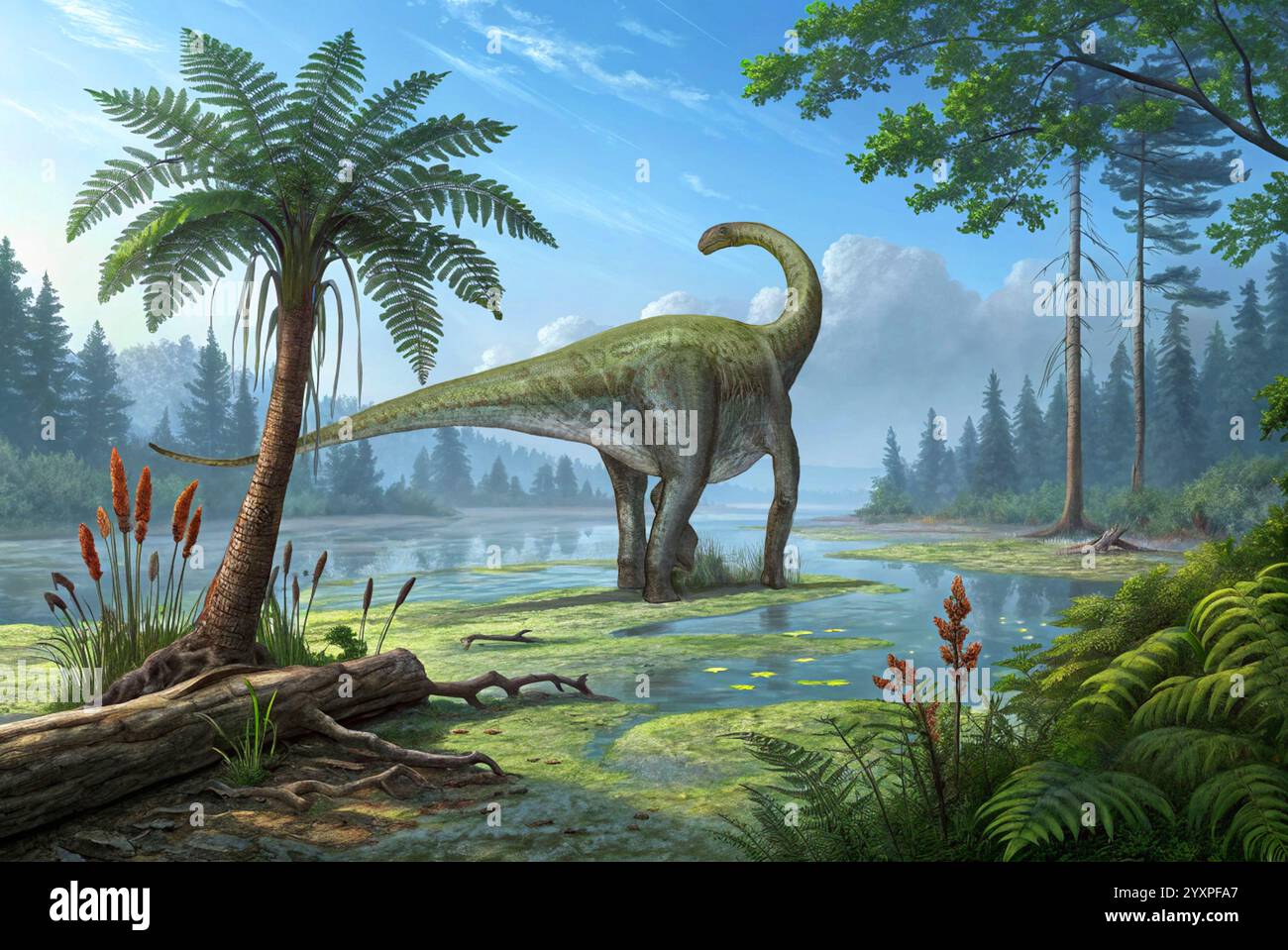 Cetiosaurus oxoniensis dinosaur in a Jurassic landscape Stock Photo - Alamy