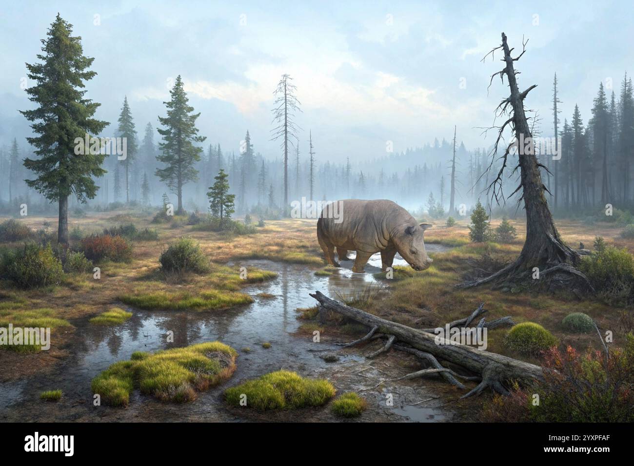 Cenozoic era hi-res stock photography and images - Alamy