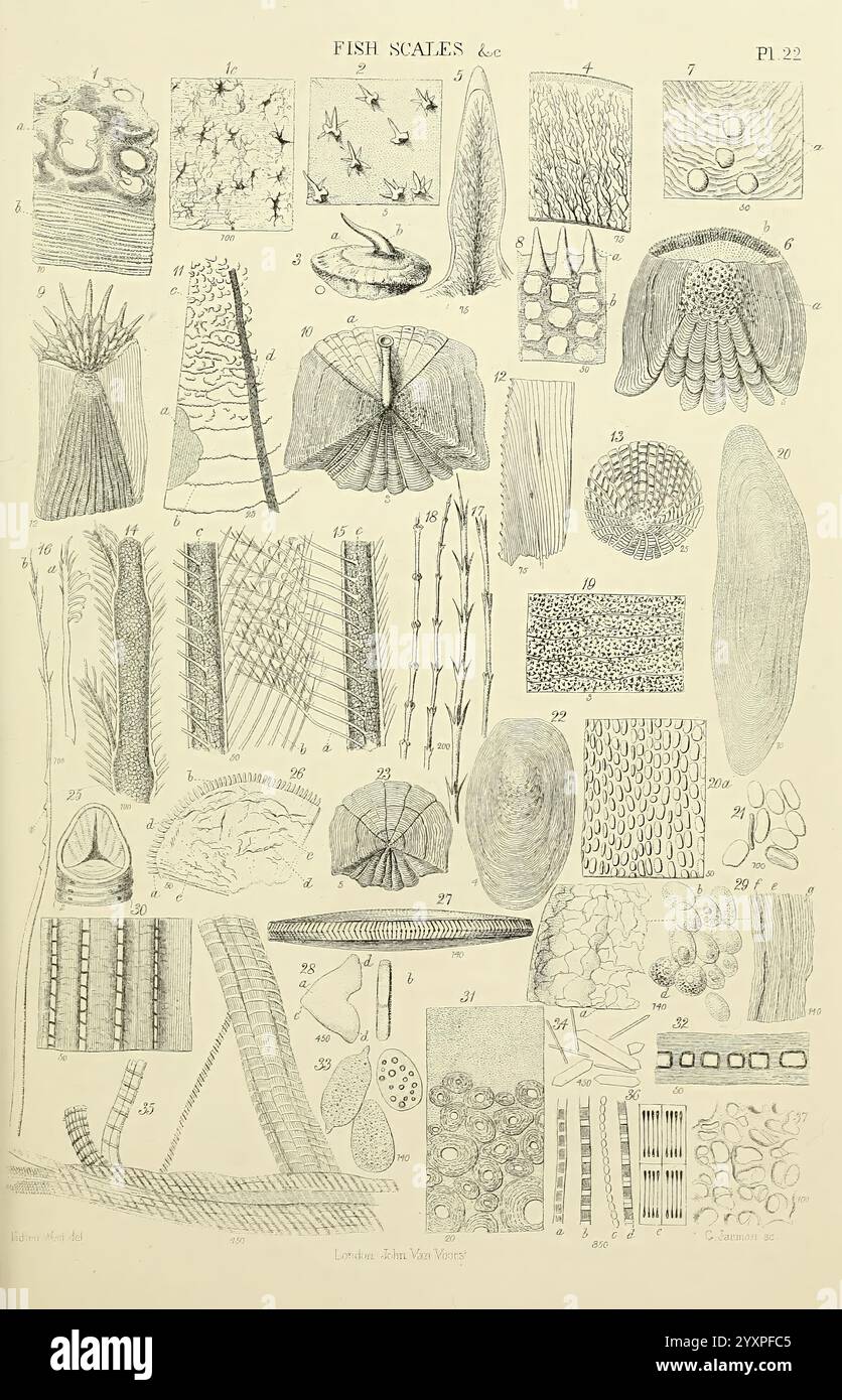Scale reference labeled hi-res stock photography and images - Alamy