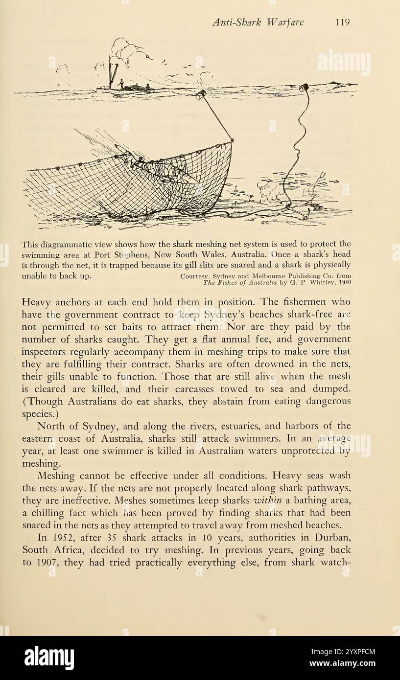 Shadows in the Sea, Philadelphia, Chilton Books [1963], Shark, Woods ...