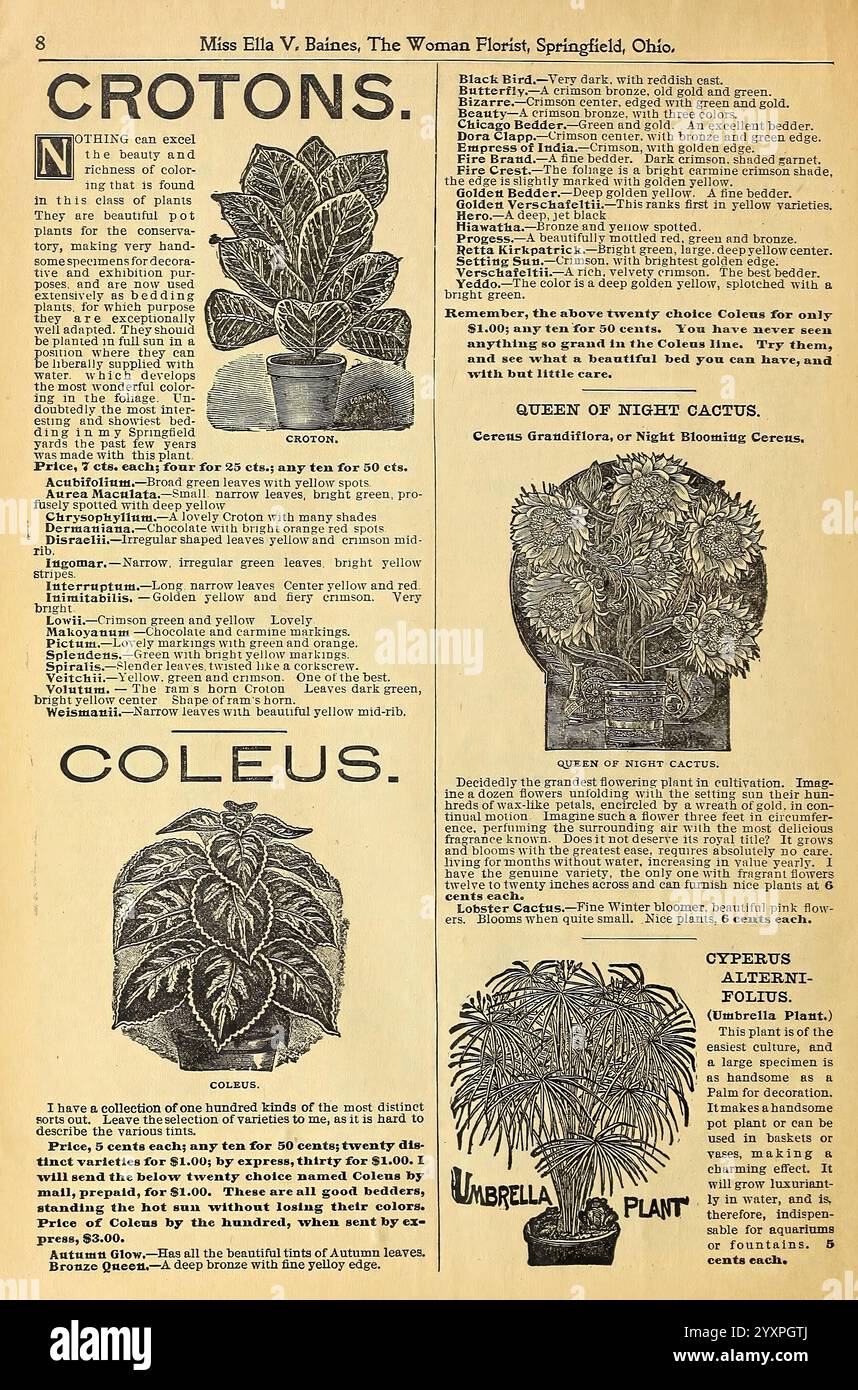 Detailed botanical guide hi-res stock photography and images - Alamy