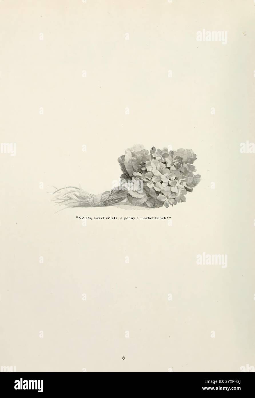 Flower pictures, London, Printed by R. R. Clark, 1914?, botanical ...