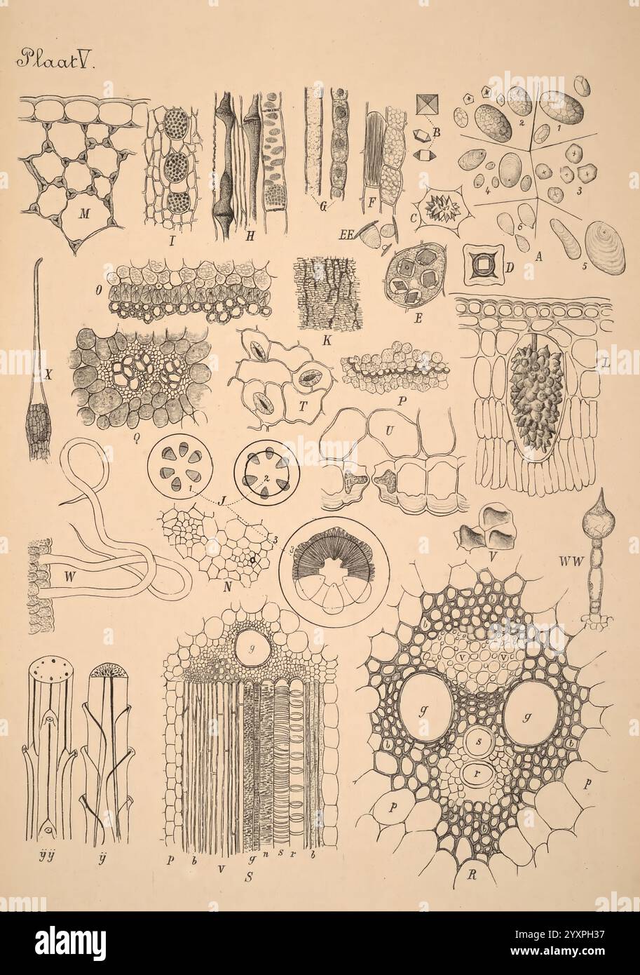 Visual representation highlights diverse forms hi-res stock photography ...