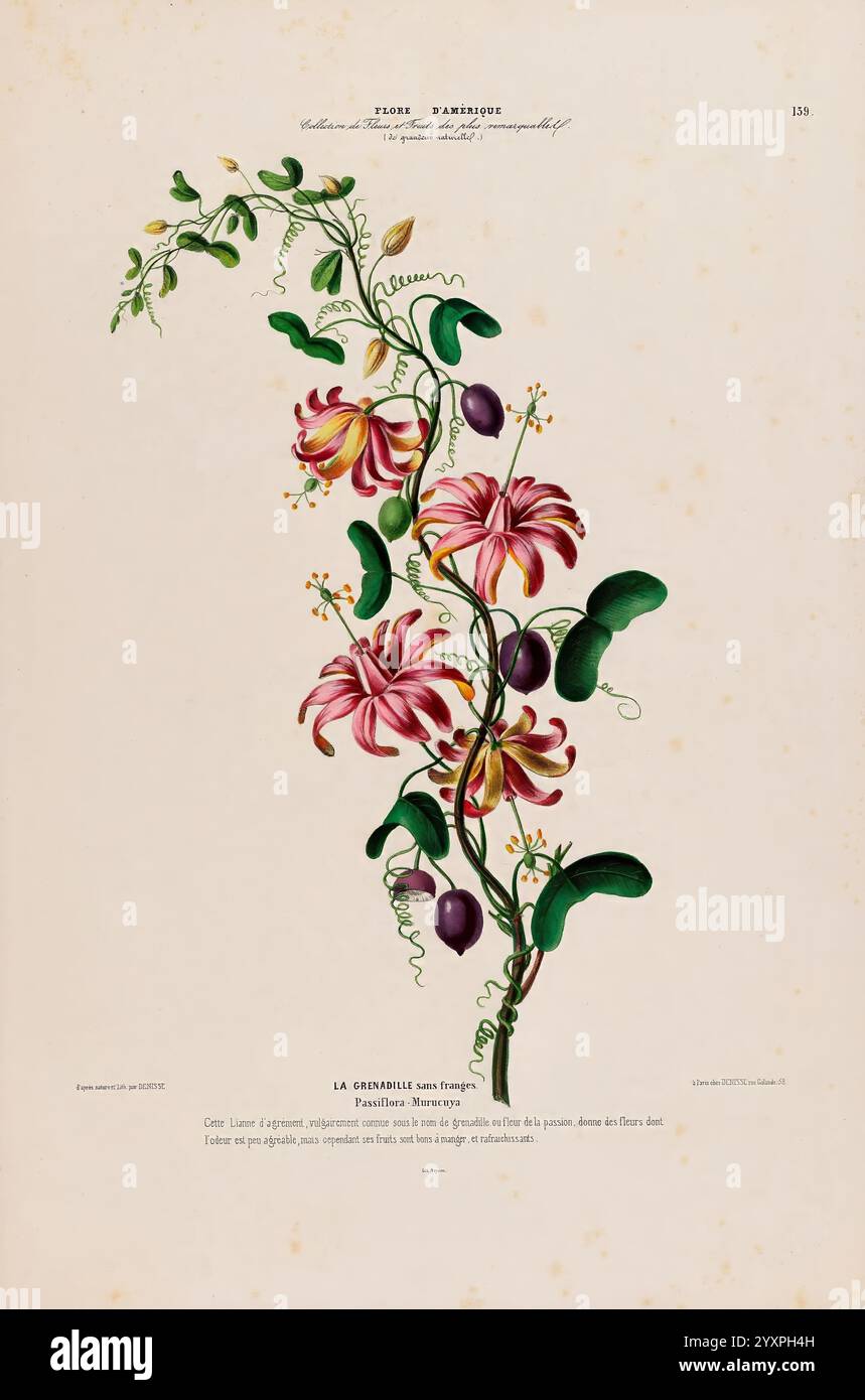 Cursive text indicating hi-res stock photography and images - Alamy