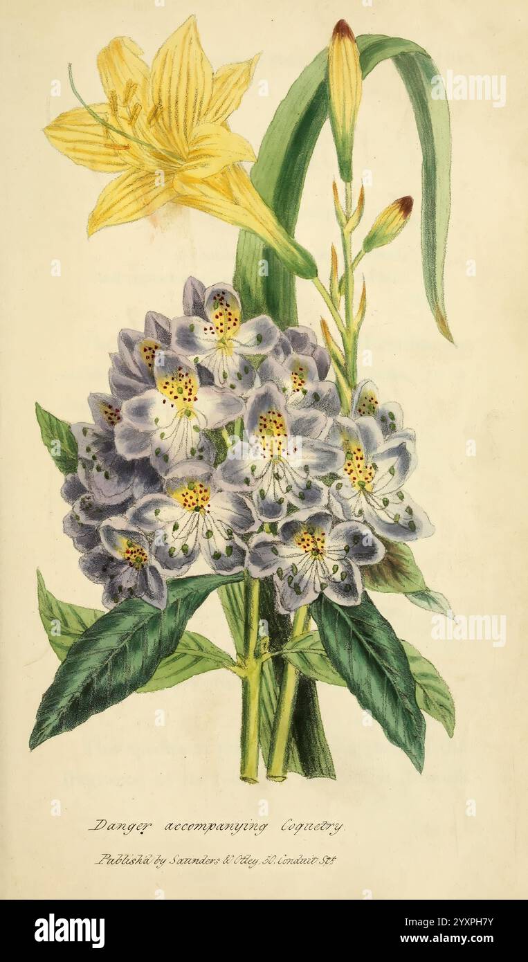 Floral emblems London Saunders and Otley 1825 emblems allegorical ...