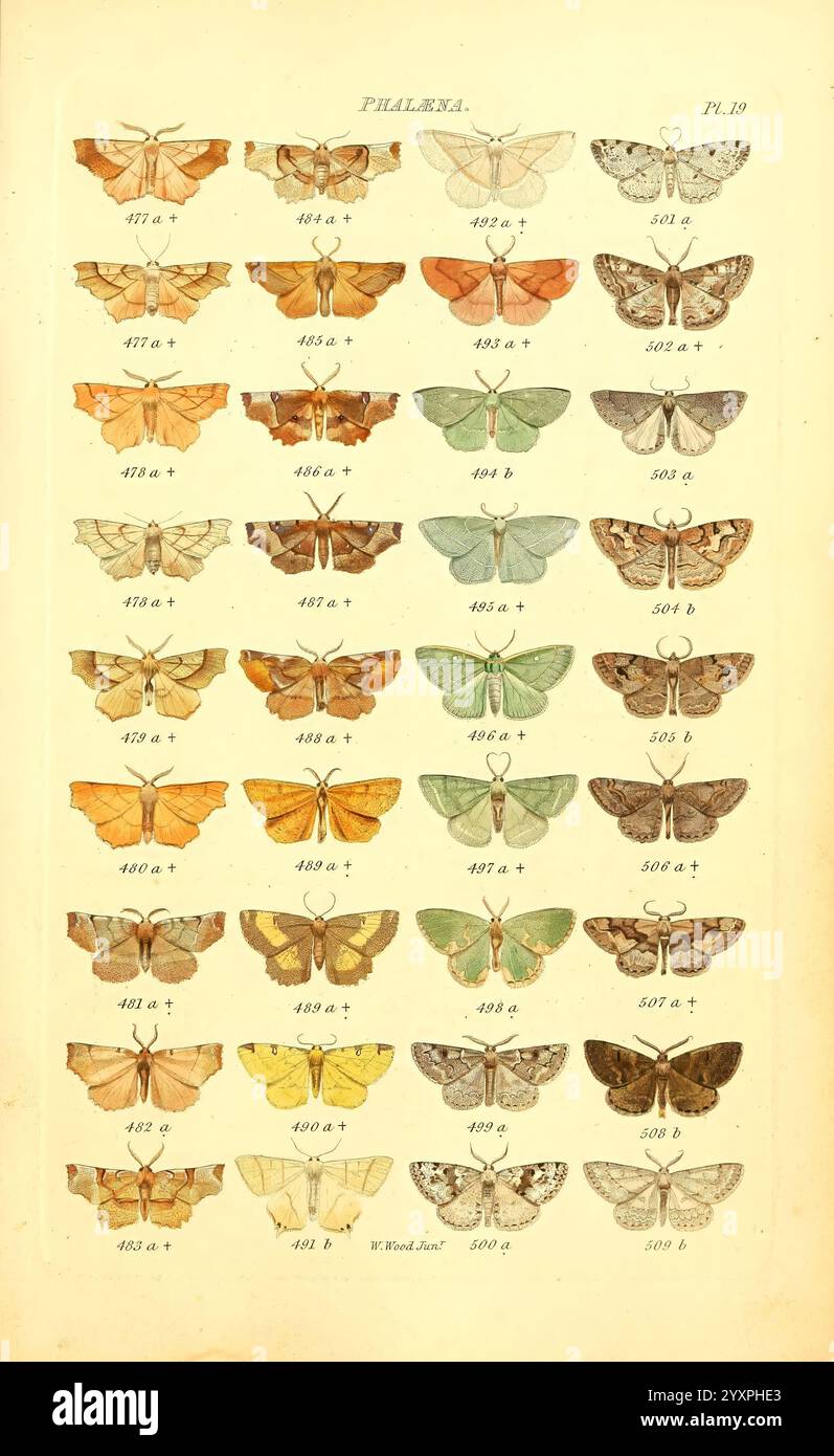 Extensive palette hi-res stock photography and images - Alamy