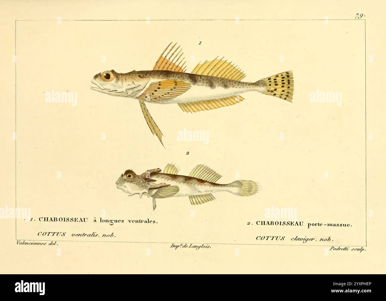 Yet compact form hi-res stock photography and images - Alamy