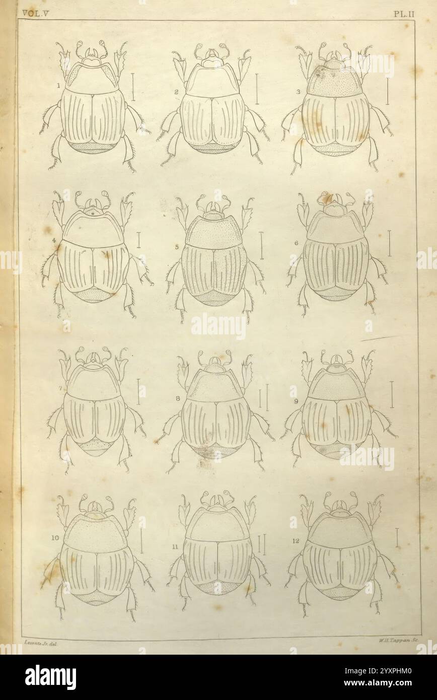 Boston, Journal of Natural History, Boston Society of Natural History ...