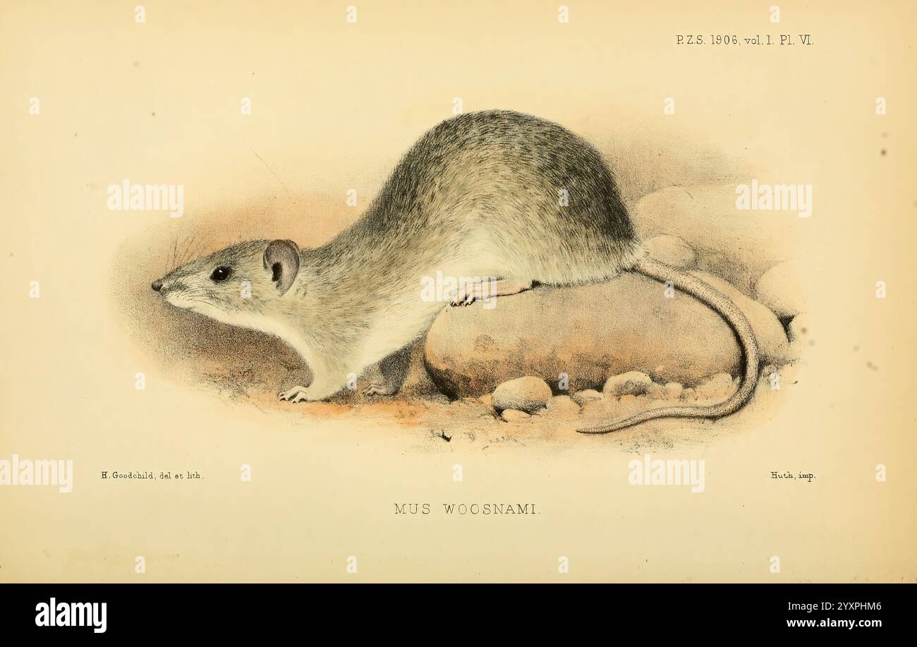 Keen sensory perception hi-res stock photography and images - Alamy