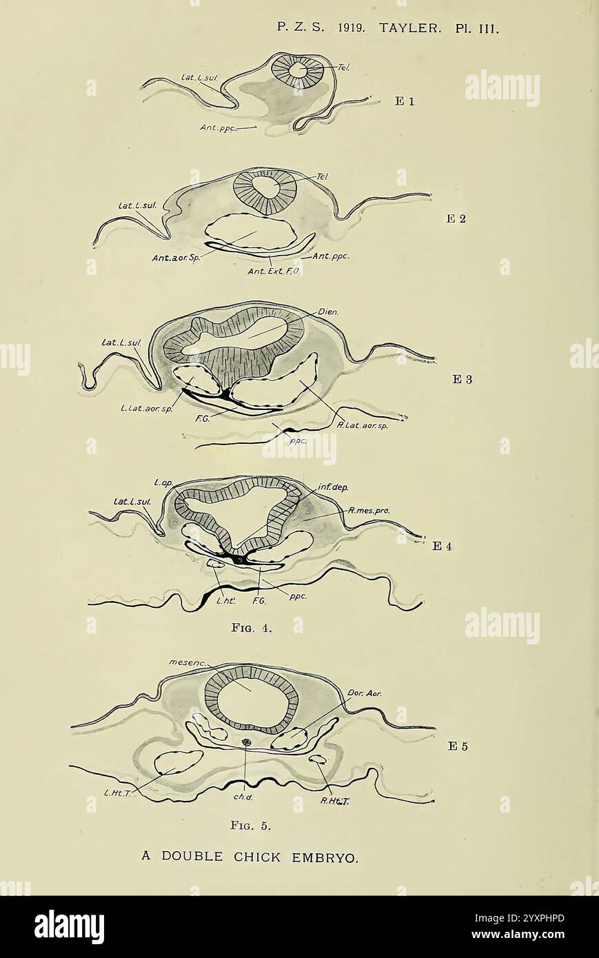 Proceedings of the Zoological Society of London, London, Academic Press ...