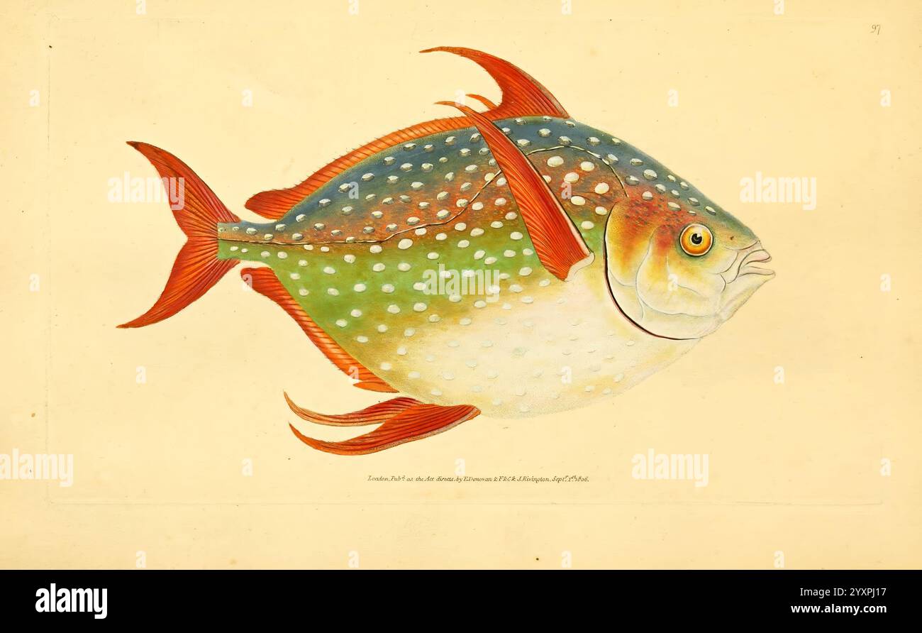 Featuring distinctive spots across hi-res stock photography and images ...