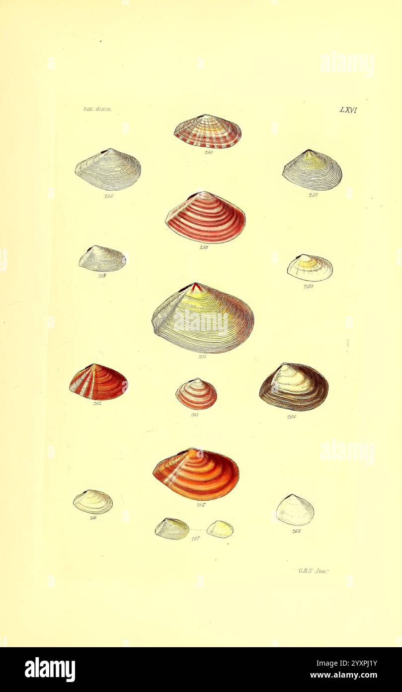 Visual representation captures hi-res stock photography and images - Alamy